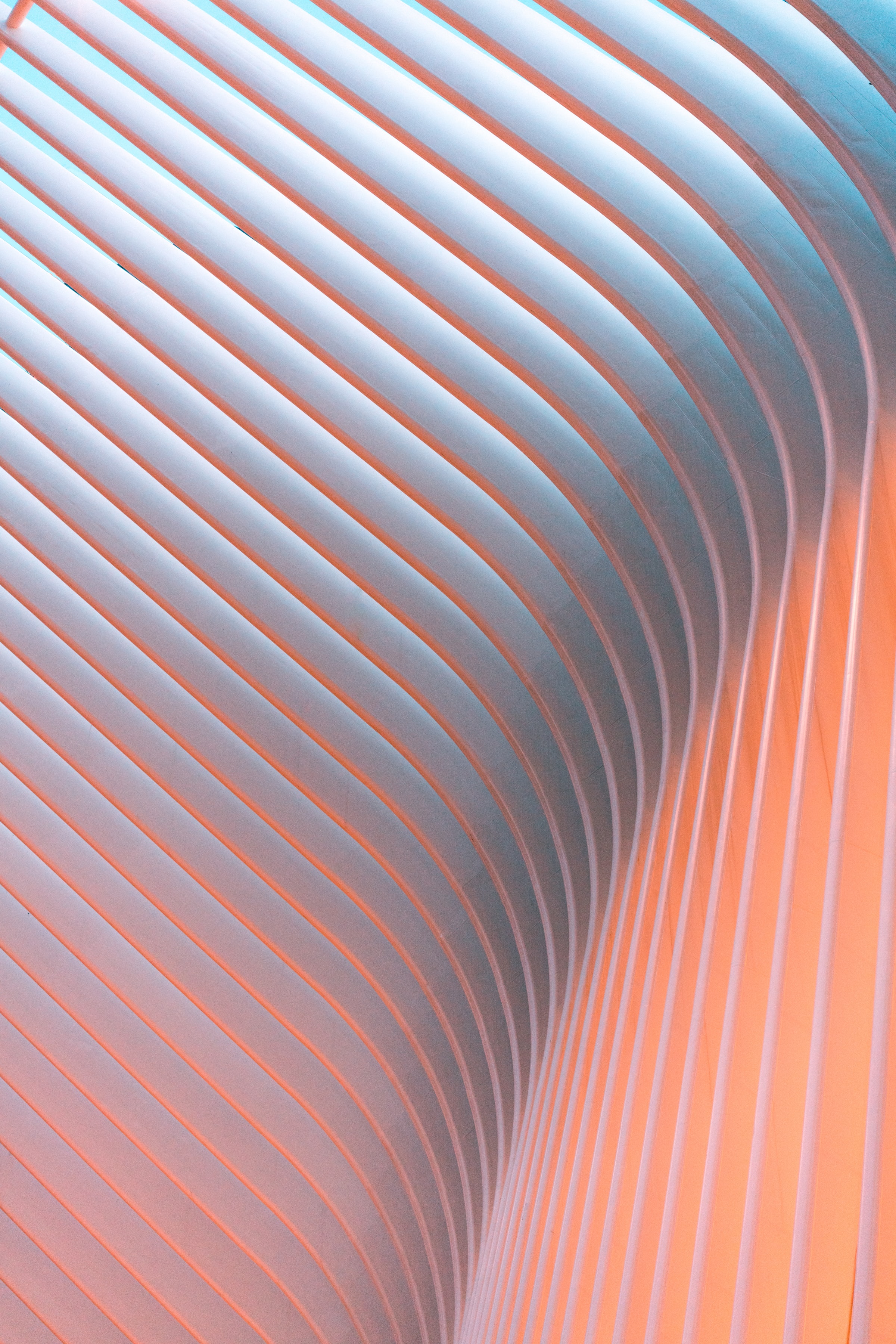 Carbone 4 - Carrières